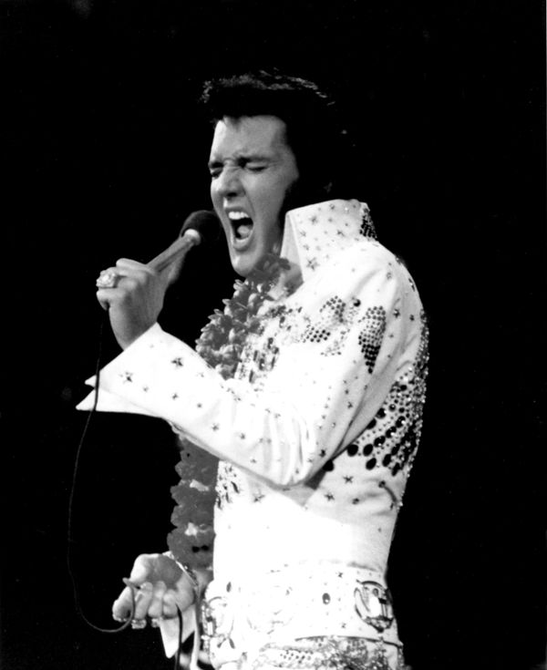 ELVIS DAY BY DAY